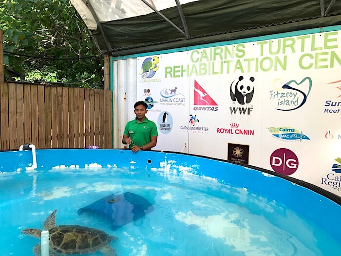 Turtle Rehabilitation Centre Fitzroy - Take Me To Australia